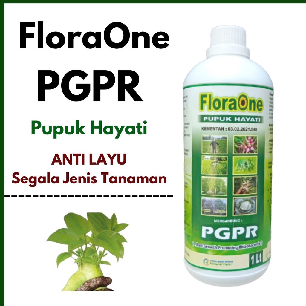 Jual Pupuk Hayati Cair / Pupuk Agar Cepat Tumbuh Berkualitas / FLORAONE ...