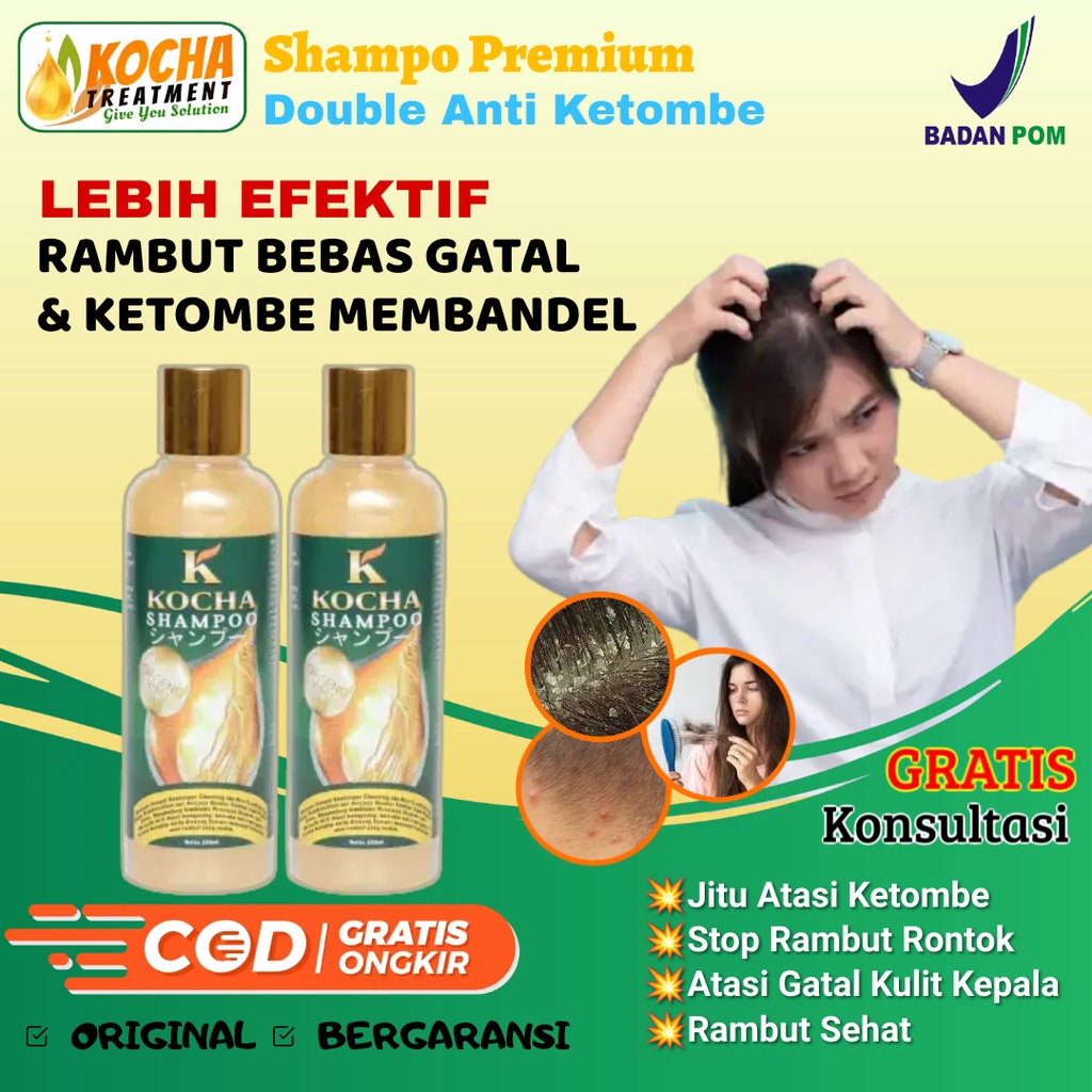 Jual Shampoo Anti Ketombe dan Rambut Rontok Paling Ampuh Kocha BPOM Sampo Treatment Gatal Kulit ...