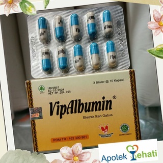 Jual Vip Albumin / Vipalbumin Ekstrak Ikan Gabus Kapsul per Strip Isi ...