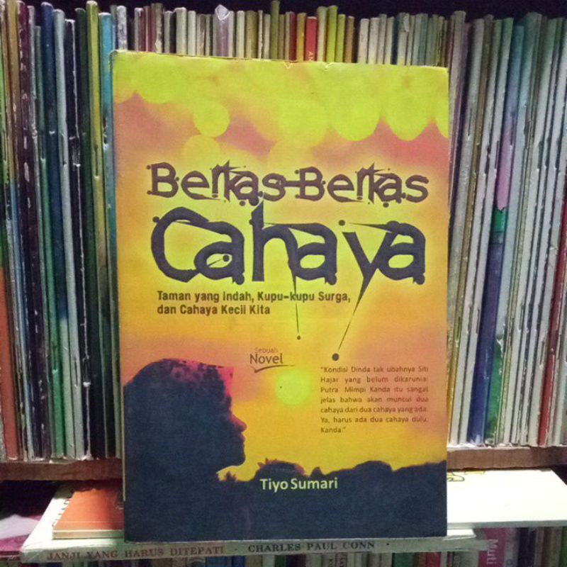 Jual Berkas-Berkas Cahaya. Taman yang indah, kupu-kupu surga, dan cahaya kecil kita. s5 | Shopee ...