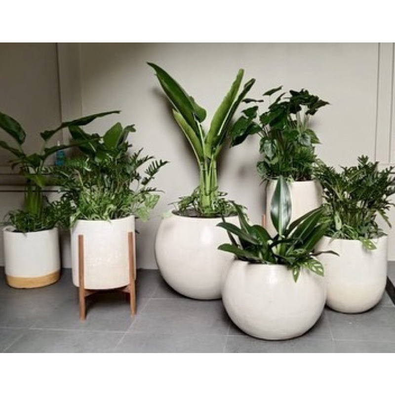 Jual Pot Terrazzo Minimalis 1 set 5 unit | Shopee Indonesia