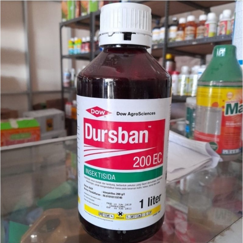 Jual insektisida dursban 200ec 1liter pembasmi hama tanaman | Shopee ...