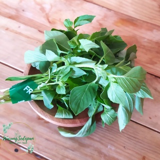 Jual Daun Kemangi Segar per ikat Daun Lalap Sayur Segar Cikarang Sayur ...