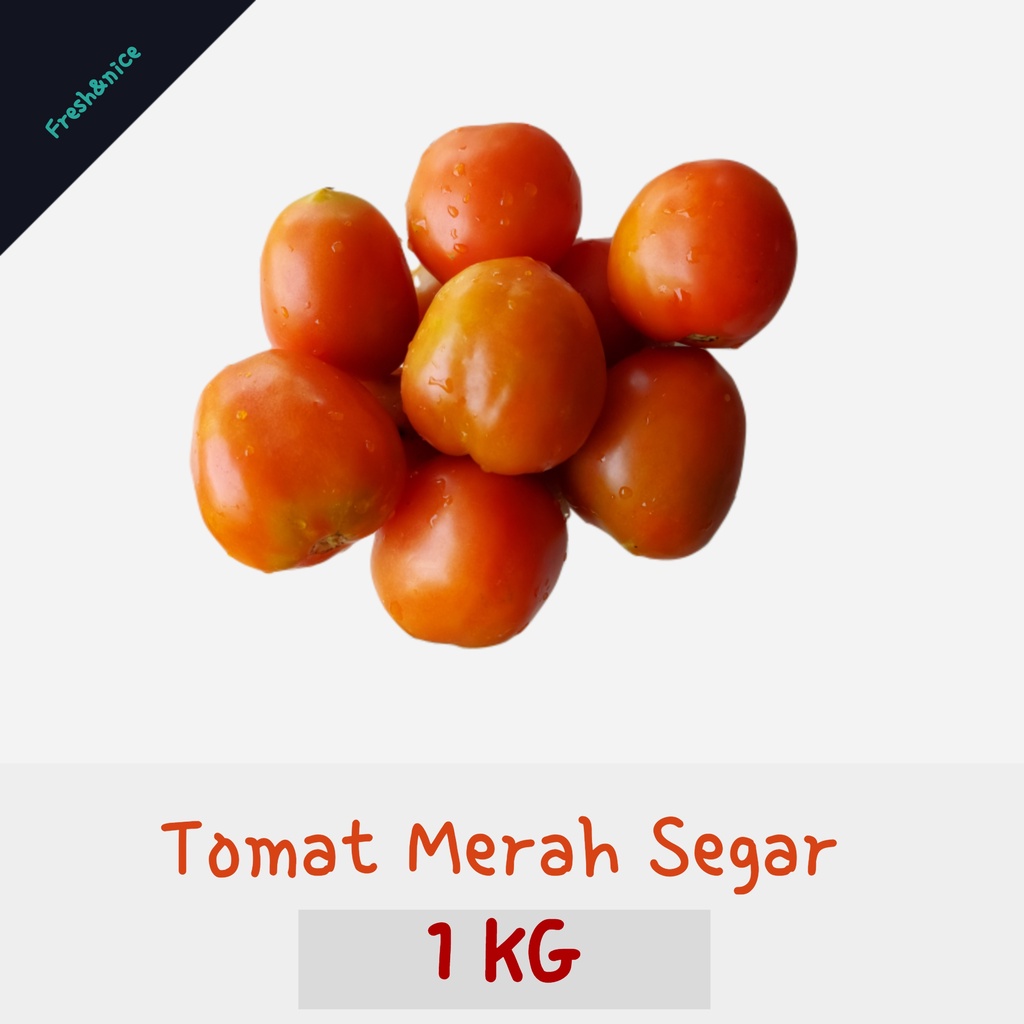 Jual Tomat Merah Segar 1 kg | Shopee Indonesia