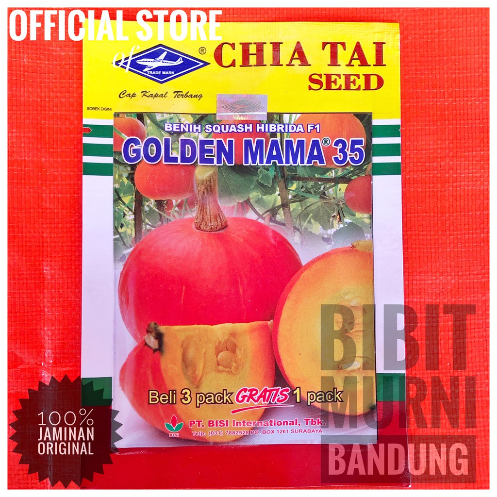 Jual BENIH SQUASH HIBRIDA GOLDEN MAMA KABOTCHA LABU MERAH 10 GRAM ...