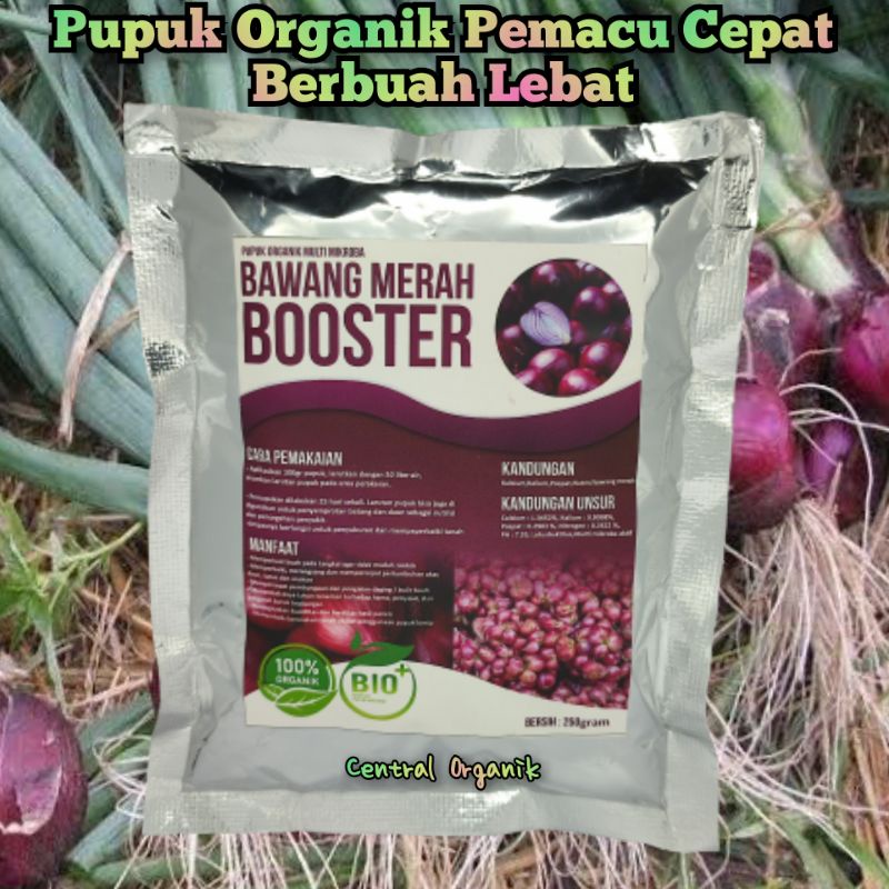 Jual Pupuk Organik Pelebat Bawang Merah Pupuk Khusus Tanaman Bawang Pupuk Booster Bawang Pupuk ...