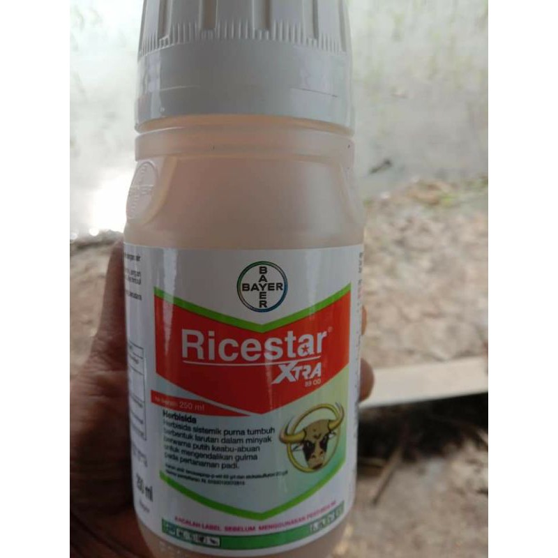 Jual Herbisida Ricestar Xtra 89 OD 250Ml (Original Bayer) | Shopee ...