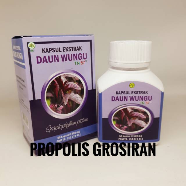Jual Kapsul Ekstrak DAUN UNGU / WUNGU Toga Nusantara | Shopee Indonesia