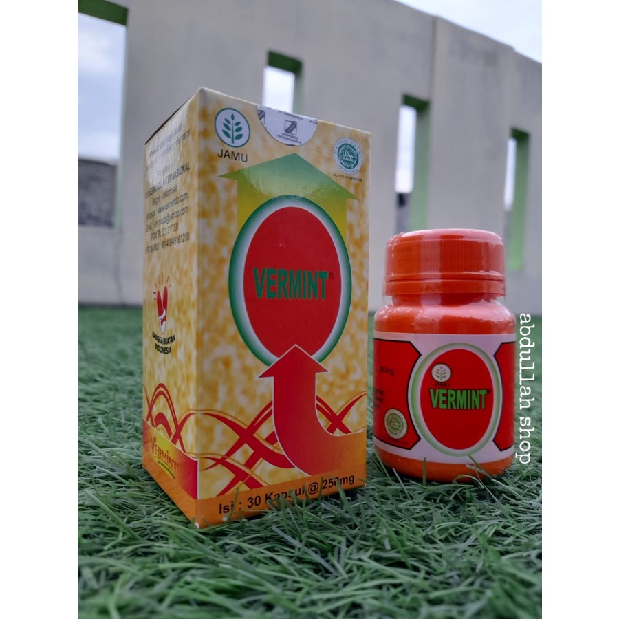 Jual Vermint | Vermin | Obat Penyakit Tifus / Tipes / Typus 30 Kapsul ...