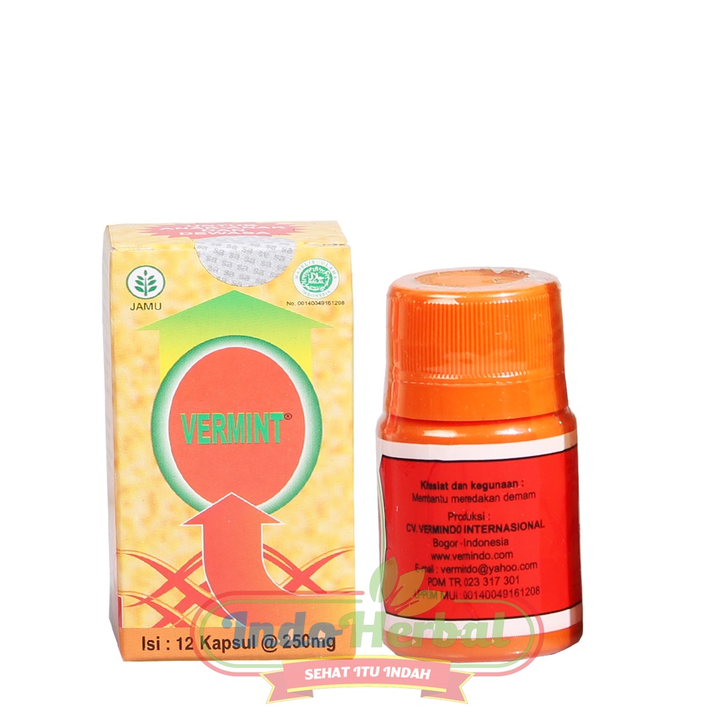 Jual Vermint | Vermin | Obat Penyakit Tifus / Tipes / Typus 12 Kapsul ...