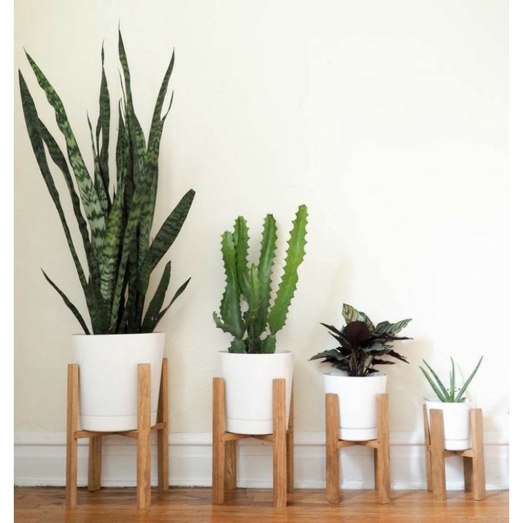 Jual Standing pot / standing pot kayu / standing planter | Shopee Indonesia