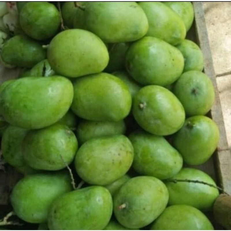 Jual Mangga Podang manis | Shopee Indonesia