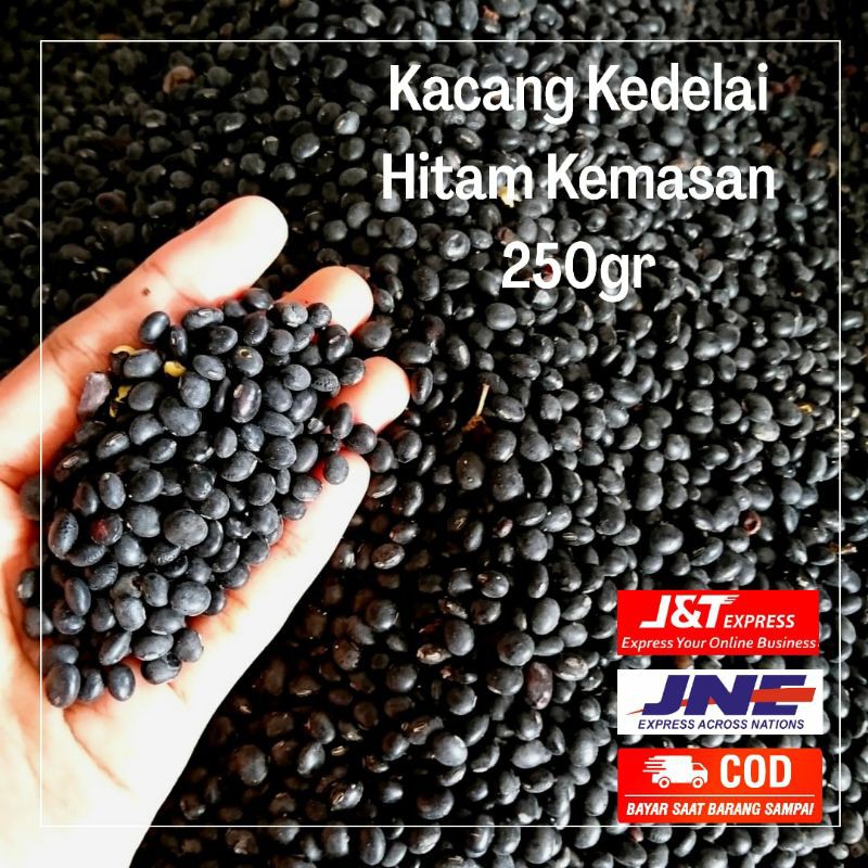 Jual Kedelai Hitam Organik 250gr Mpasi Kacang Kedelai Hitam | Shopee ...