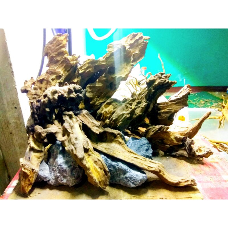 Jual HARDSCAPE KAYU RENTEK AQUASCAPE AKUARIUM | Shopee Indonesia