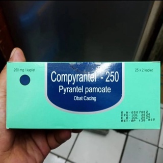 Jual COMPYRANTEL 250 Pyrantel Pamoate Obat Cacing 50tablet | Shopee ...