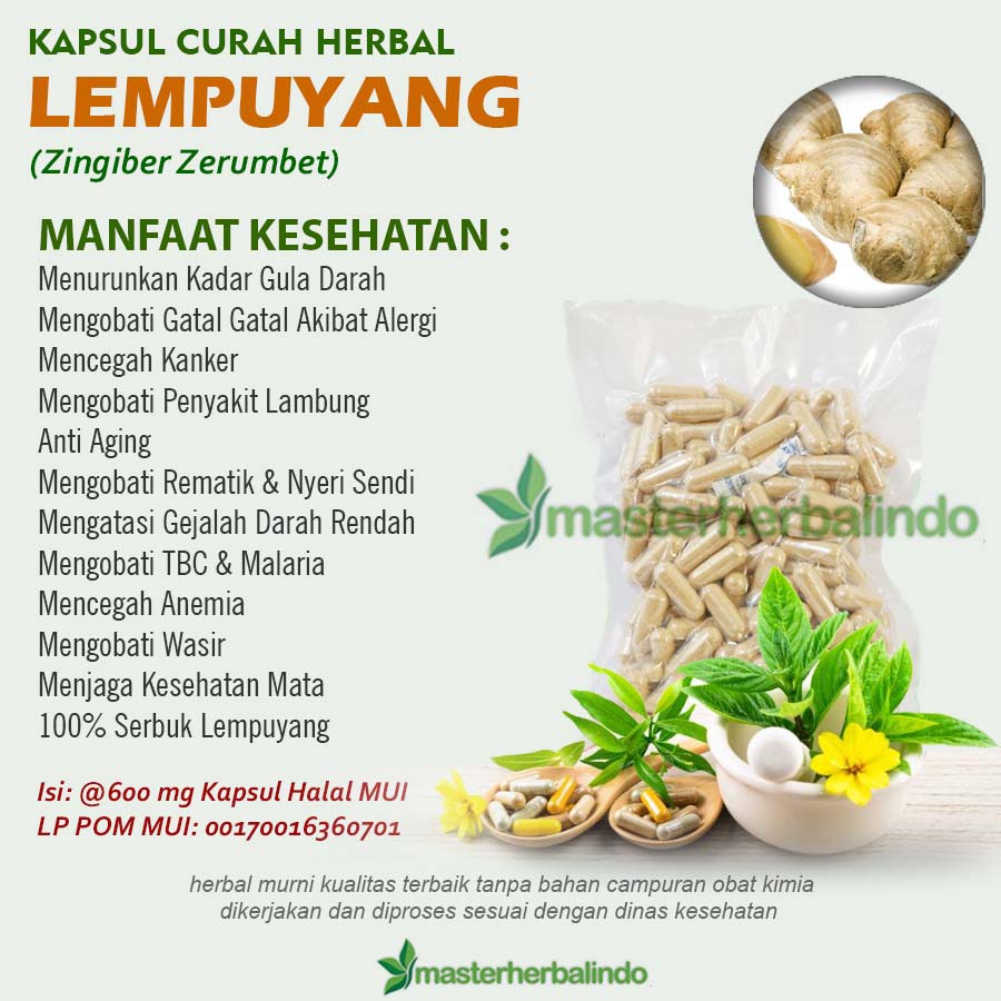 Jual Lempuyang Terlengkap & Harga Terbaru Januari 2023 | Shopee Indonesia