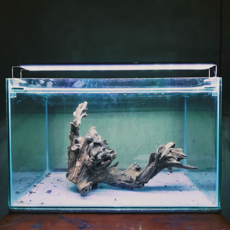Jual kayu rentek alami aquascape berkarakter unik | Shopee Indonesia