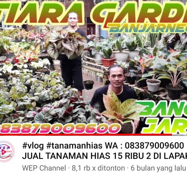 Produk Tiara garden | Shopee Indonesia