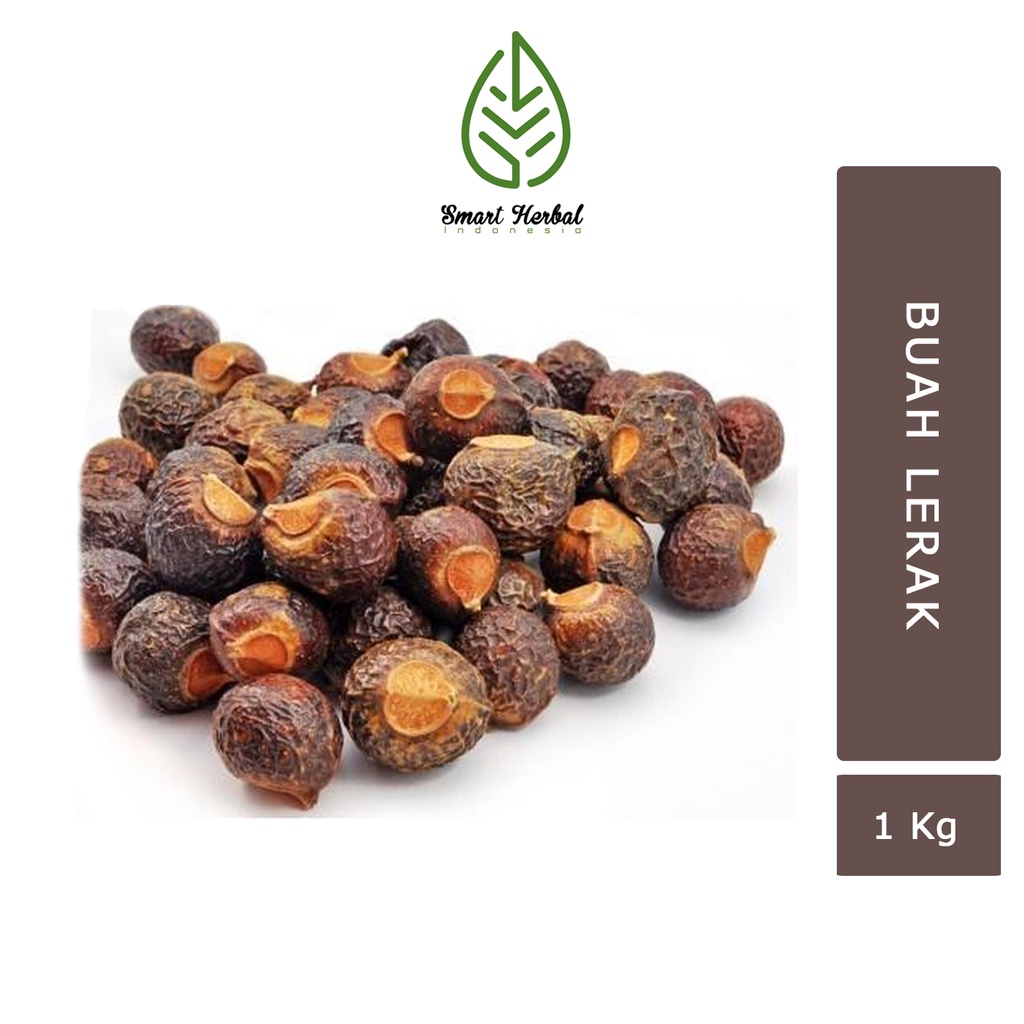 Jual BUAH LERAK TANPA BIJI 250 GRAM Indonesia|Shopee Indonesia