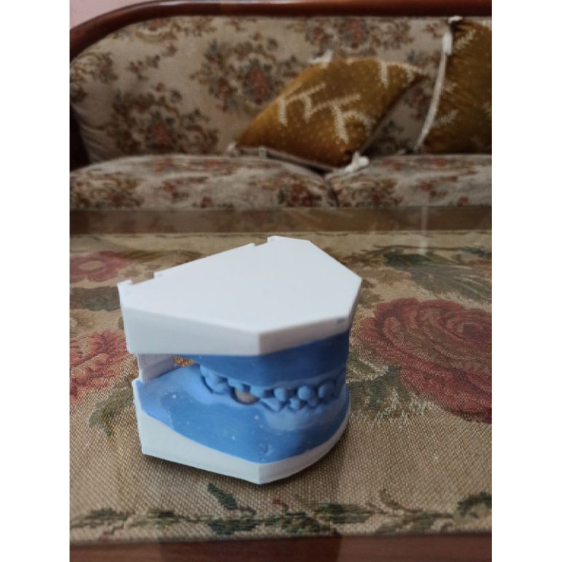 Harga Phantom Gigi Susu Terbaru Mei 2025 | BigGo Indonesia