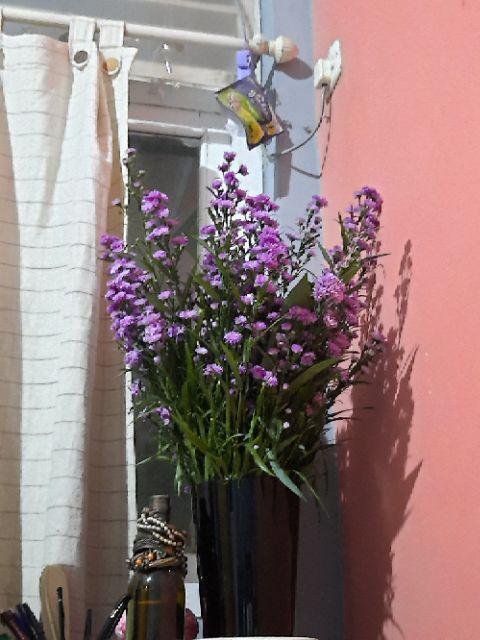 Bunga Pikok / Peacock Ungu Asli Fresh Segar Cocok untuk hiasan acara ...