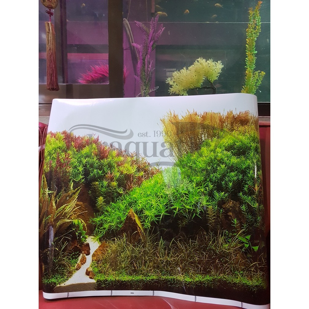 Jual WALLPAPER AQUARIUM UK. 50CM GAMBAR MOTIF RUMPUT BACKGROUND ... Jual WALLPAPER AQUARIUM UK. 50CM GAMBAR MOTIF RUMPUT BACKGROUND ...