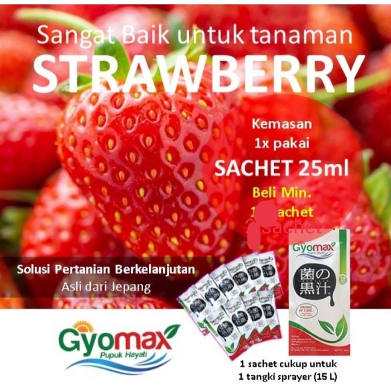 Jual Pupuk Jepang khusus Strawberry sachet 25 ml lengkap untuk ...