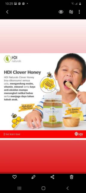 Jual Madu clover honey HDI 1 kg imun tubuh panas dalam sakit | Shopee Indonesia