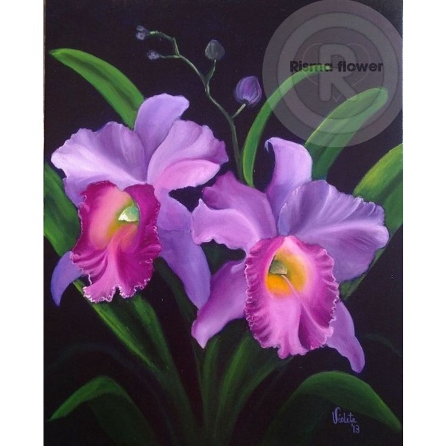 Jual Tanaman hias Bakung amarilis bunga ungu sweet ( bunga amarilis ...