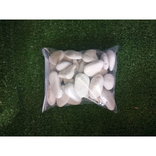 Jual Batu coral putih pipih, batu pipih 25-30 batu taman pipih batu 1kg ...