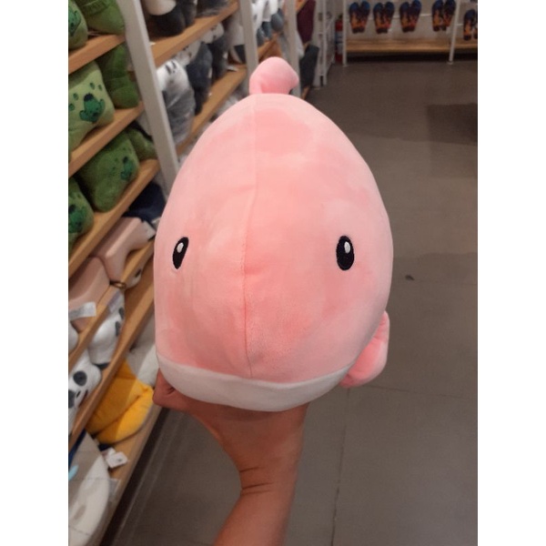 Jual Miniso Boneka Baby Shark | Shopee Indonesia