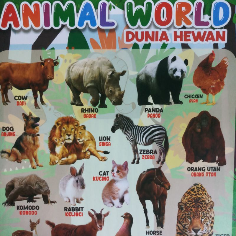 Jual poster binatang | Shopee Indonesia