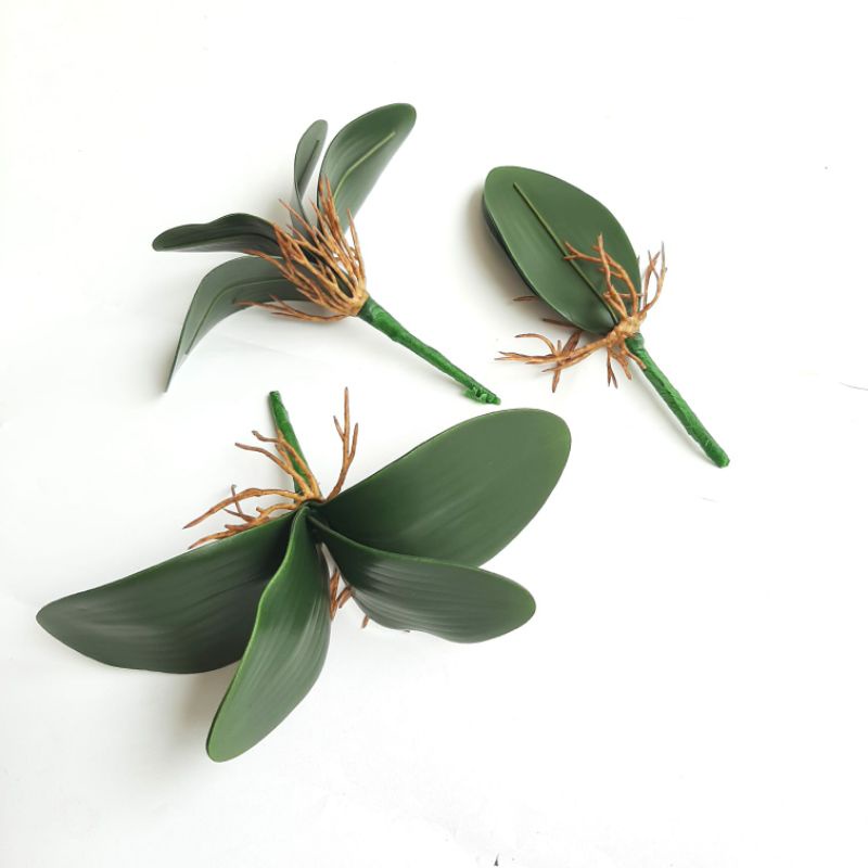 Jual DAUN ANGGGREK MINI LATEX -DAUN ANGGREK MINI-DAUN ANGGREK-BUNGA ...