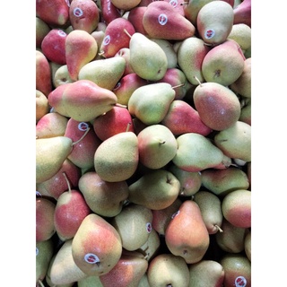 Jual pear forelle / pir forelle / pir manis 1kg | Shopee Indonesia