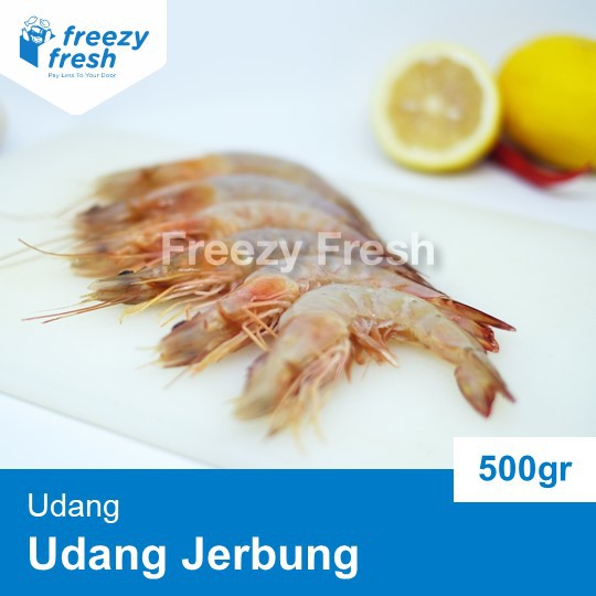 Jual Udang Jerbung (Jerbung Shrimp) 500 Gram / Segar / Beku / Vacumm ...