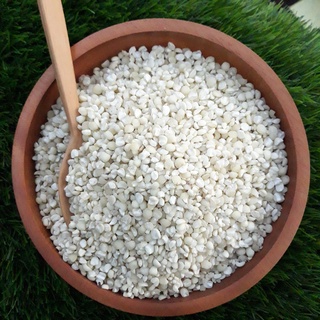 Jual Beras Hanjeli FRESH langsung dari Petani (1kg vacuum) I Jali Jali ...