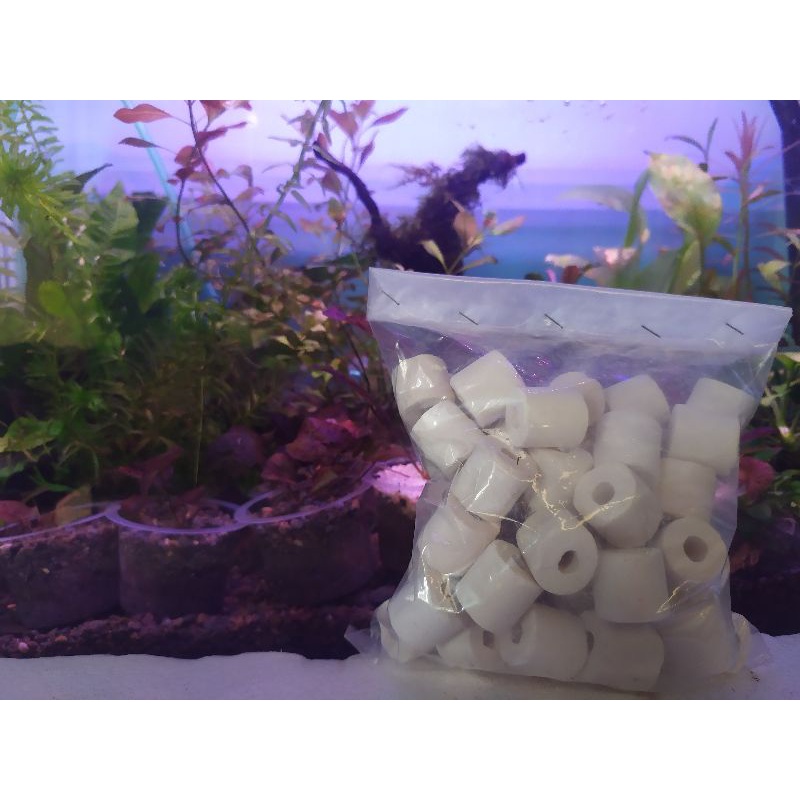 Jual Bio ring bioring keramik media filter aquarium dan kolam ikan ...