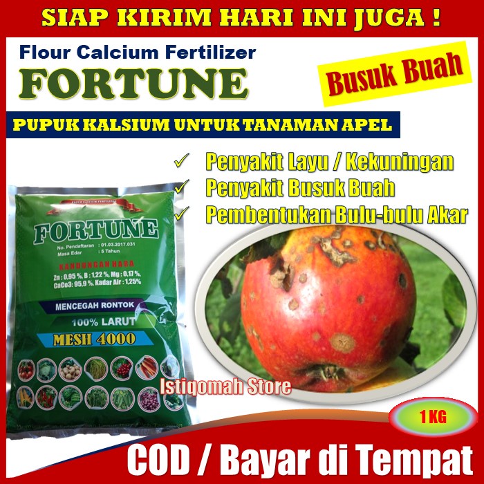 Jual FORTUNE 1 KG Pupuk Kalsium Obat Pencegah Penyakit Busuk Buah Apel ...
