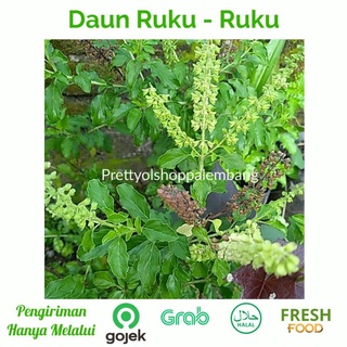 Jual DAUN RUKU-RUKU 100 GRAM LAMPES KEMANGI HUTAN HOLY BASIL PADANG ...