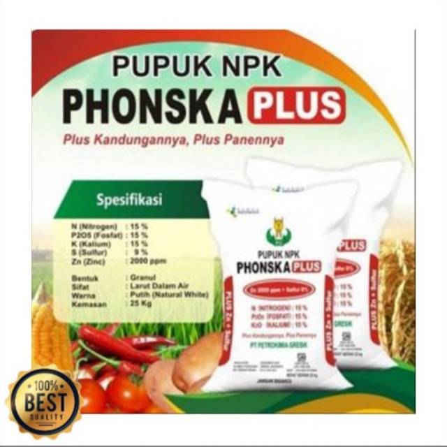 Jual Pupuk NPK Phonska Plus 15-15-15 Repack/ecer 250 gram | Shopee ...