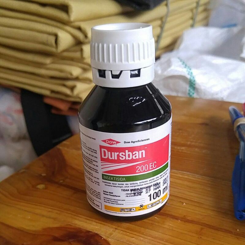 Jual Insektisida Dursban 200 EC Untuk Padi, Sayuran dan Palawija ...