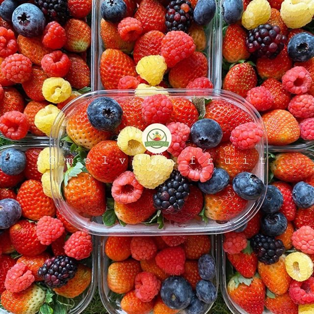 Jual Forest Berry (Mix Fruit) | Shopee Indonesia