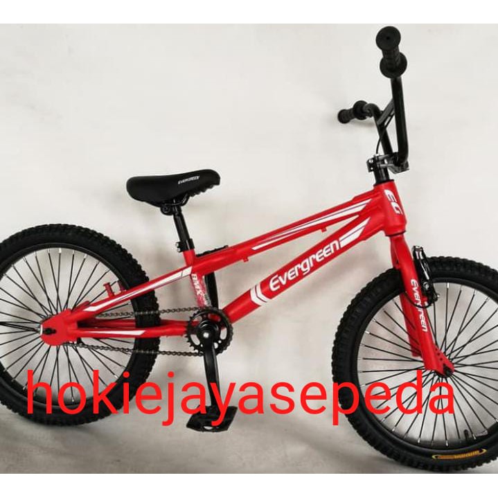 Jual SEPEDA BMX 20" EVERGREEN F3 DENGAN REM TORPEDO DAN STANG ROTOR 360 ...