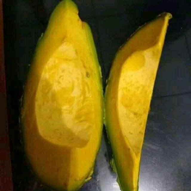 Harga Mntega Terbaru Agustus 2024 |BigGo Indonesia