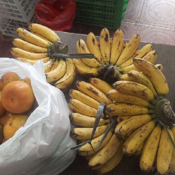 Jual Pisang Barangan Medan 1 Sisir | Shopee Indonesia