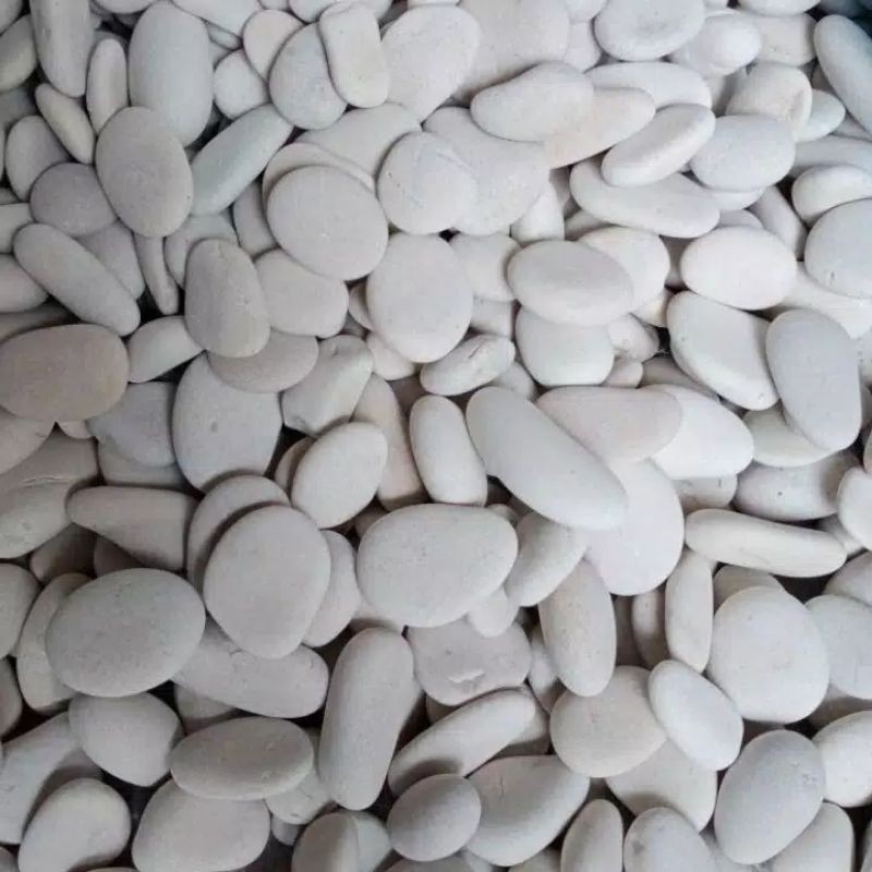 Jual Batu coral Putih ( kemasan 1 kg) / batu taman | Shopee Indonesia
