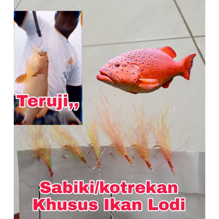 Jual Sabiki atau Kotrekan untuk ikan kerapu Lodi | Shopee Indonesia