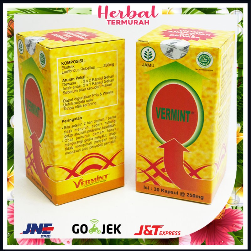 Jual Vermint - Vermin - Obat Penyakit Tifus - Tipes - Typus 30 Kapsul ...