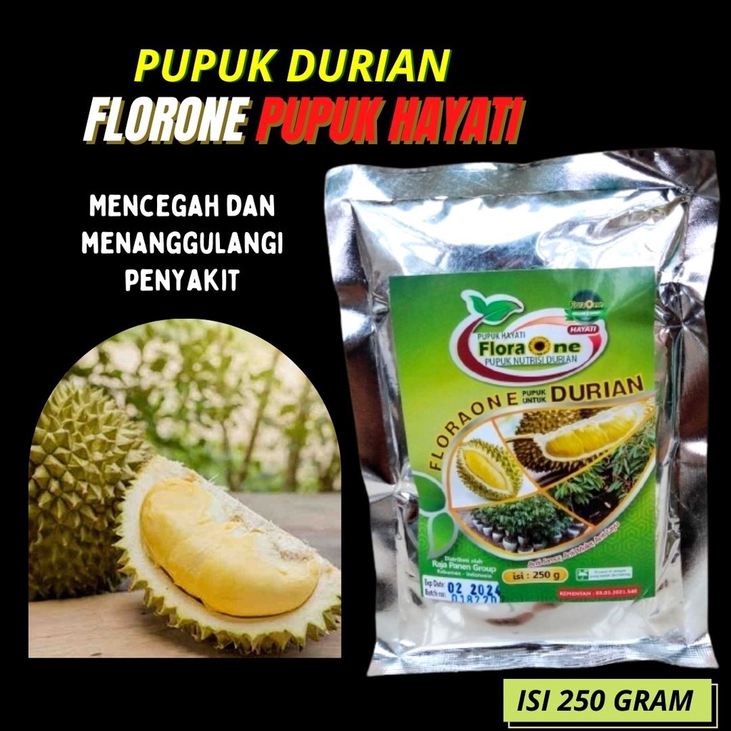 Jual Pupuk Booster Hayati Buah Durian, Nutrisi Durian King Montong Cepat Berbuah Lebat Besar ...