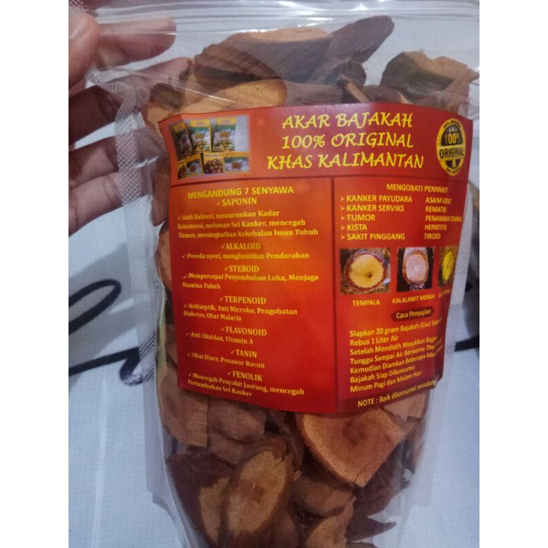 Jual BAJAKAH TEMPALA MERAH ASLI KALIMANTAN | Shopee Indonesia